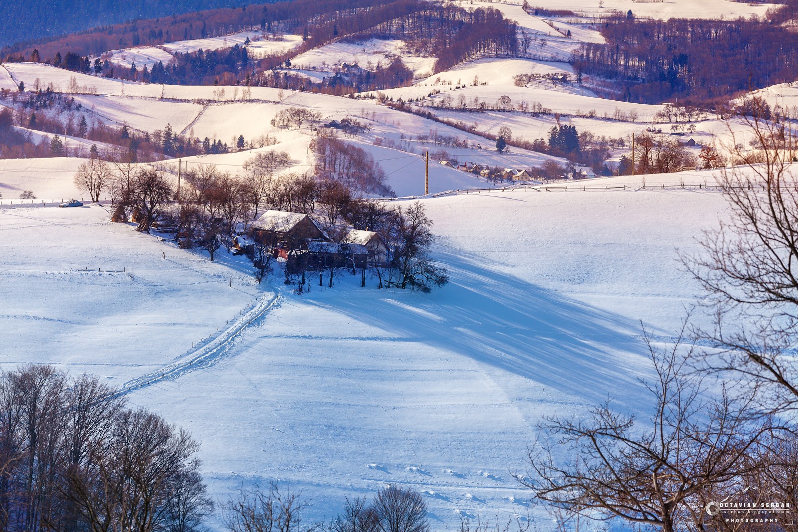 Octavian Serban: Poiana Marului Village...