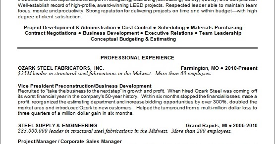 Construction Executive Resume Format in Word Free Download