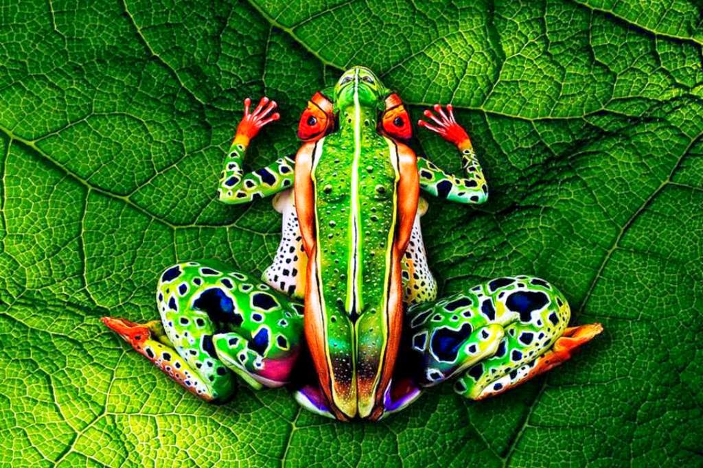 Body Painting Start To Finish 2014