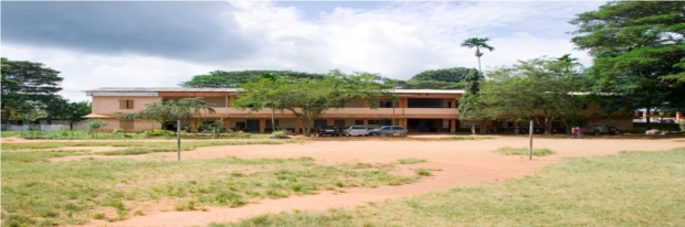 GHSS MEENANGADI: ചരിത്രം