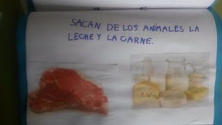 La vuelta al mundo: ¿Qué comían en la prehistoria?