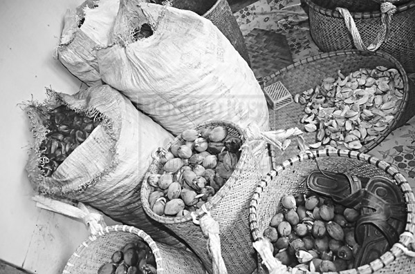 Ongzi's SecretGarden: Bornet Post : Engkabang – Butter from the Rainforest