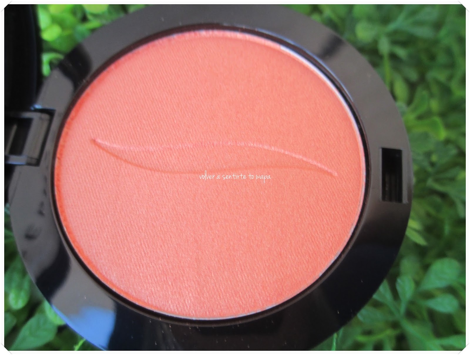 Volver a Sentirte to Wapa - Blog de belleza: Mis 2 nuevos COLORETES de ...