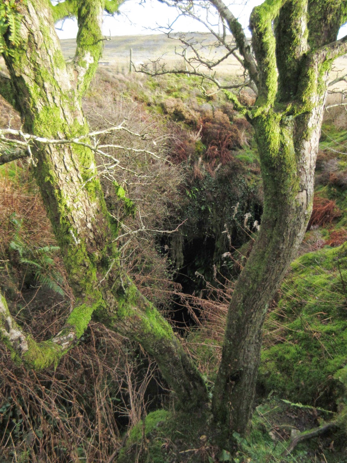 A Three Peaks Up and Under