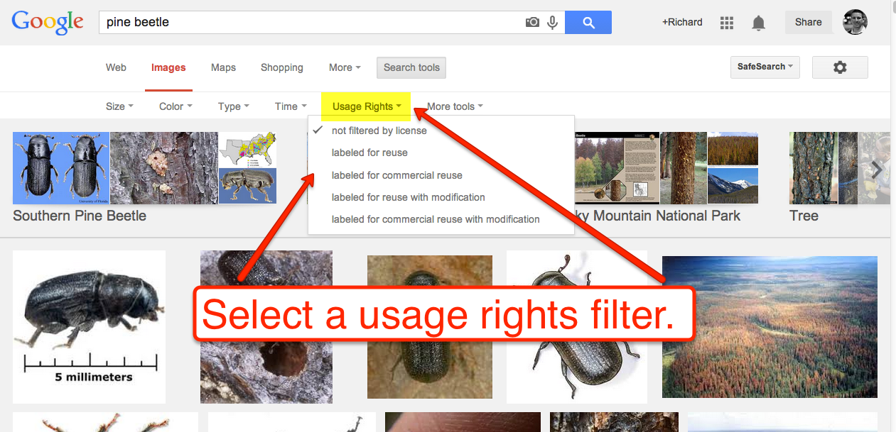 Google Improves Image Search Tools Menu - Free Technology For Teachers