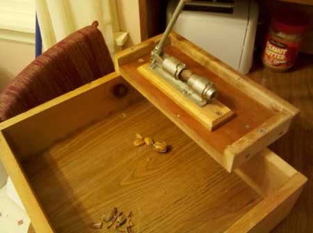 Jola Gayle's Eclectic Blog: Shelling Pecans