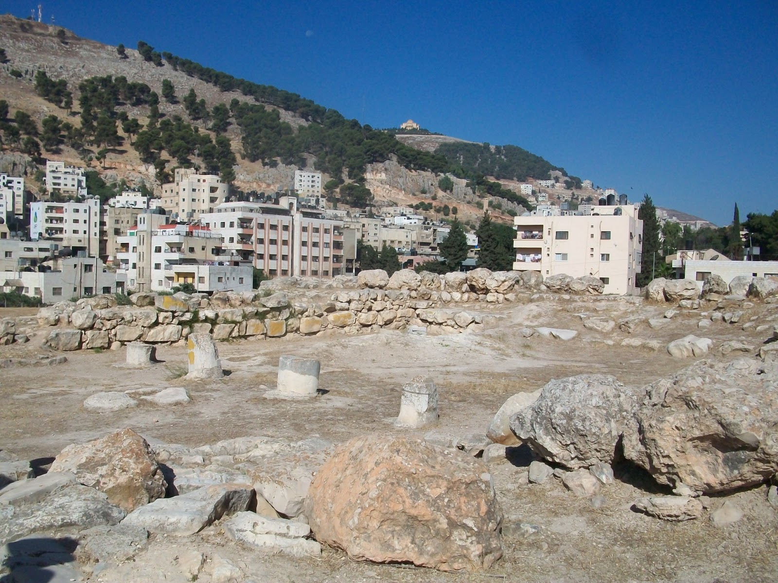 Israel 2015: Day Seventeen: Samaria Field Study