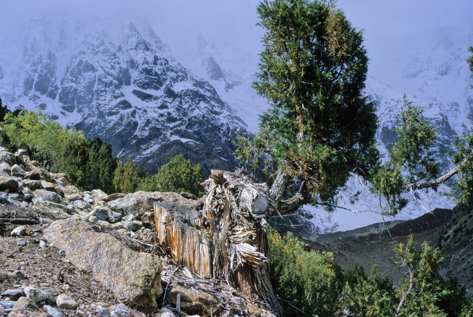 Prairiebreak: Loved, lost and FOUND! (a few more trophies of the past)