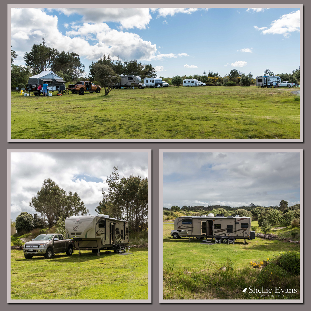 Two Go Tiki Touring: Stunning Beach & Uretiti DOC Camp