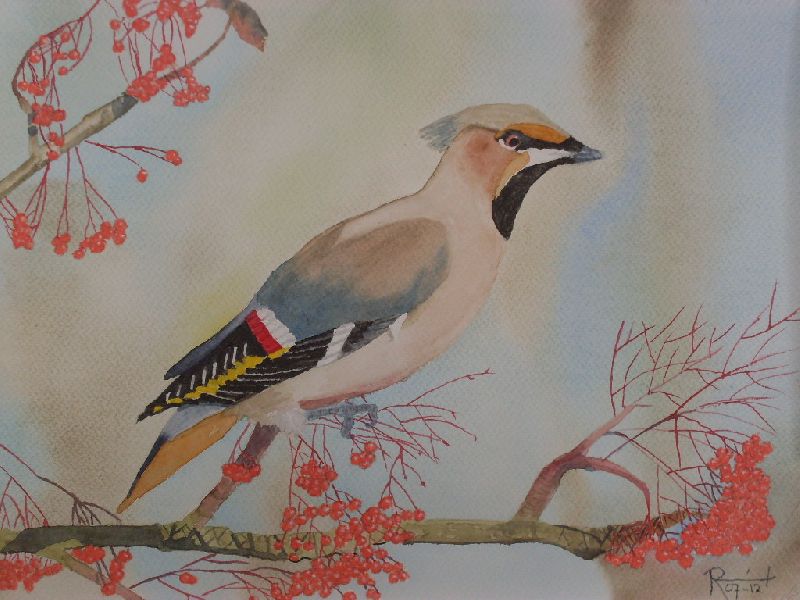 Aquarellen van Renate: animals