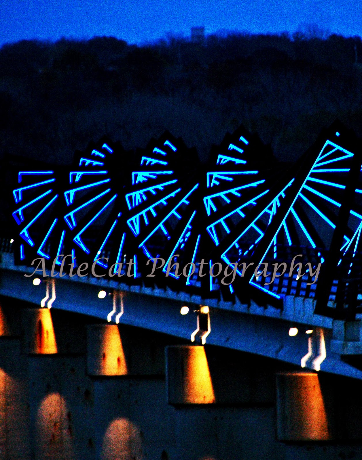 AllieCat Photography: High Trestle Trail Bridge at Night