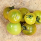 Sunflower Savannah: Tomatoes, TOMATOES, TOMATOES!