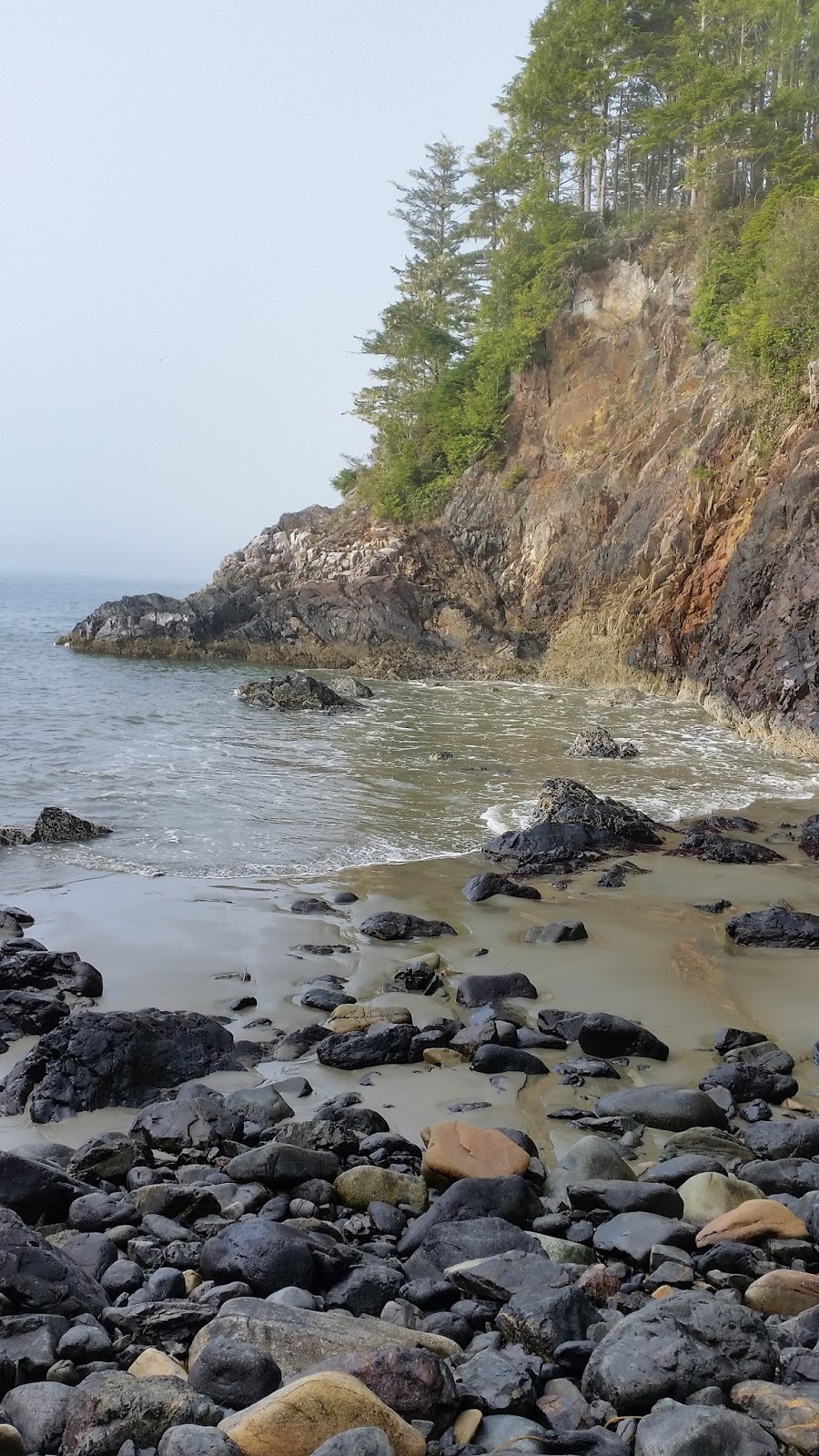 Roots of Reading: Moe the Mouse Inspires and Motivates Early Childhood ...