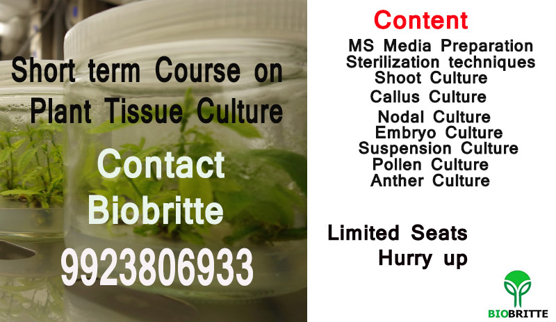 Plant Tissue Culture Training - Biobritte International