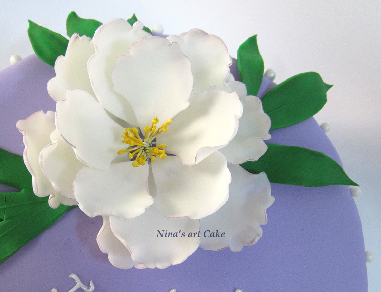 Nina's Art Cake: Tort aniversar