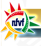 AFRICAN WOMEN IN CINEMA BLOG: National Film and Video Foundation NFVF ...