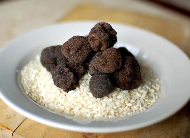 5 Fun Facts about Truffles