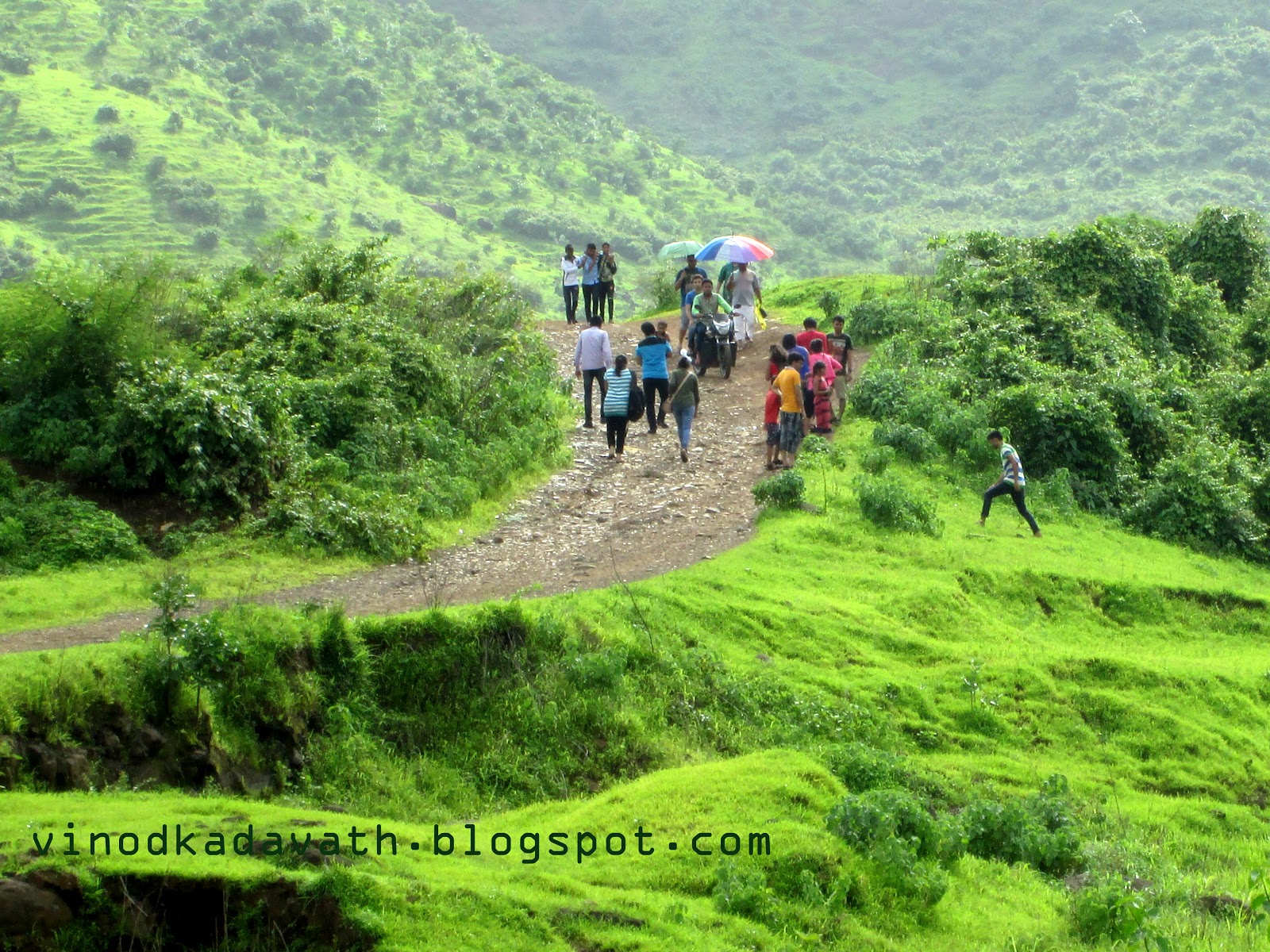 Unexplored Monsoon Wonder of Kharghar,Navi Mumbai – Pandavkada Falls ...