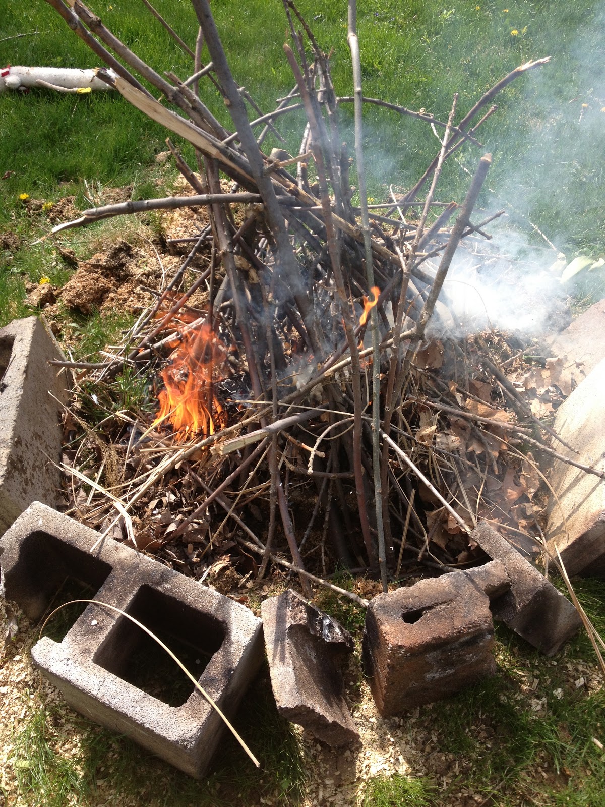 Nearly Handmade: Yard Work: Burning Tree Stumps