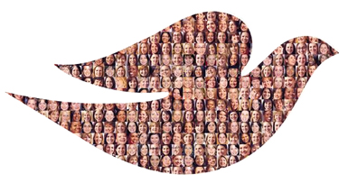 Media Controlling Body Image: Dove Campaign For Real Beauty