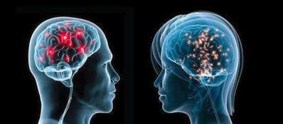 Top Brain, Bottom Brain: Surprising Insights Into How You Think ...