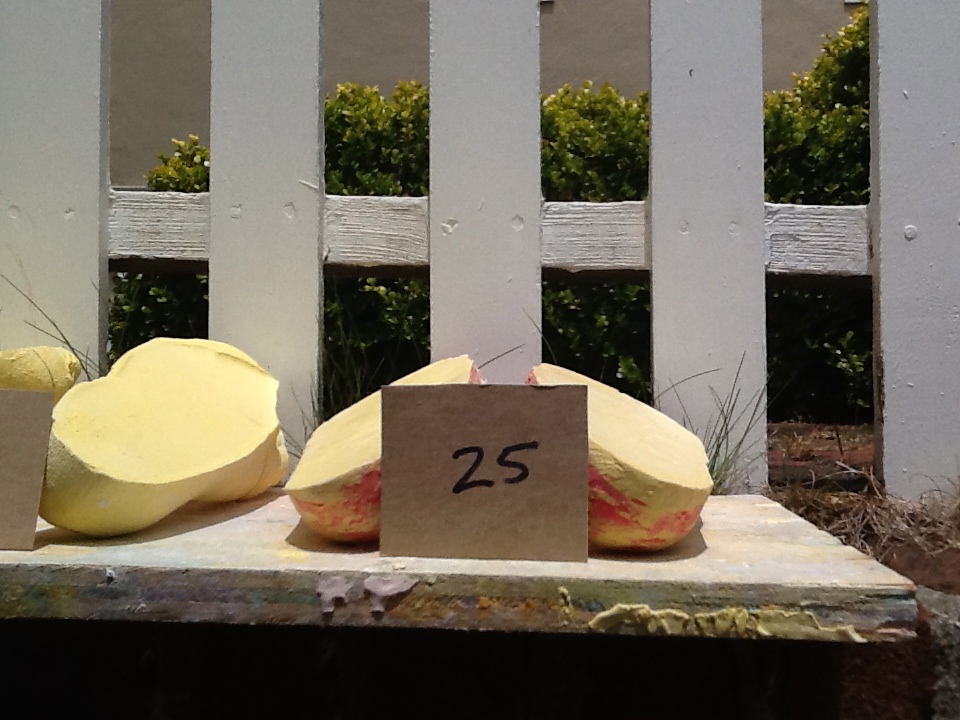 Foot and Ankle Problems By Dr. Richard Blake: Inverted Orthotic ...