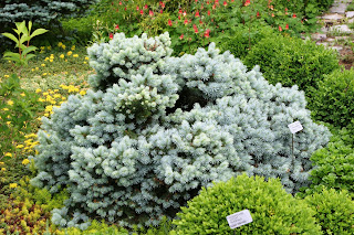 Powell Gardens' Blog: Flowers of Spring: Last Chance to See