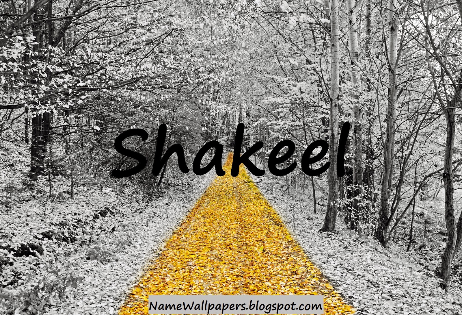Shakeel Name Wallpapers Shakeel ~ Name Wallpaper Urdu Name Meaning Name ...
