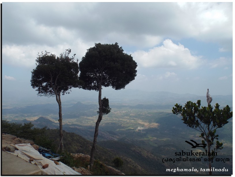 പ്രകൃതിയിലേക്ക് ഒരു യാത്ര (a travel towards NATURE): മേഘങ്ങളിറങ്ങുന്ന ...