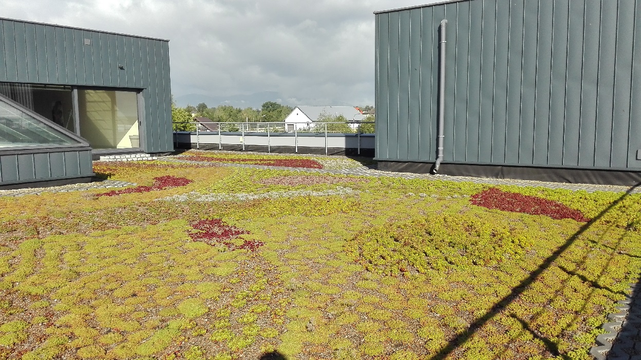 Czystsze Inspiracje: Zielony dach w firmie MCD Electronics | Polski ...