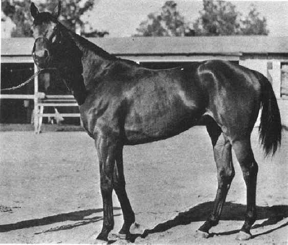 La Escalera de Iakob: Seabiscuit