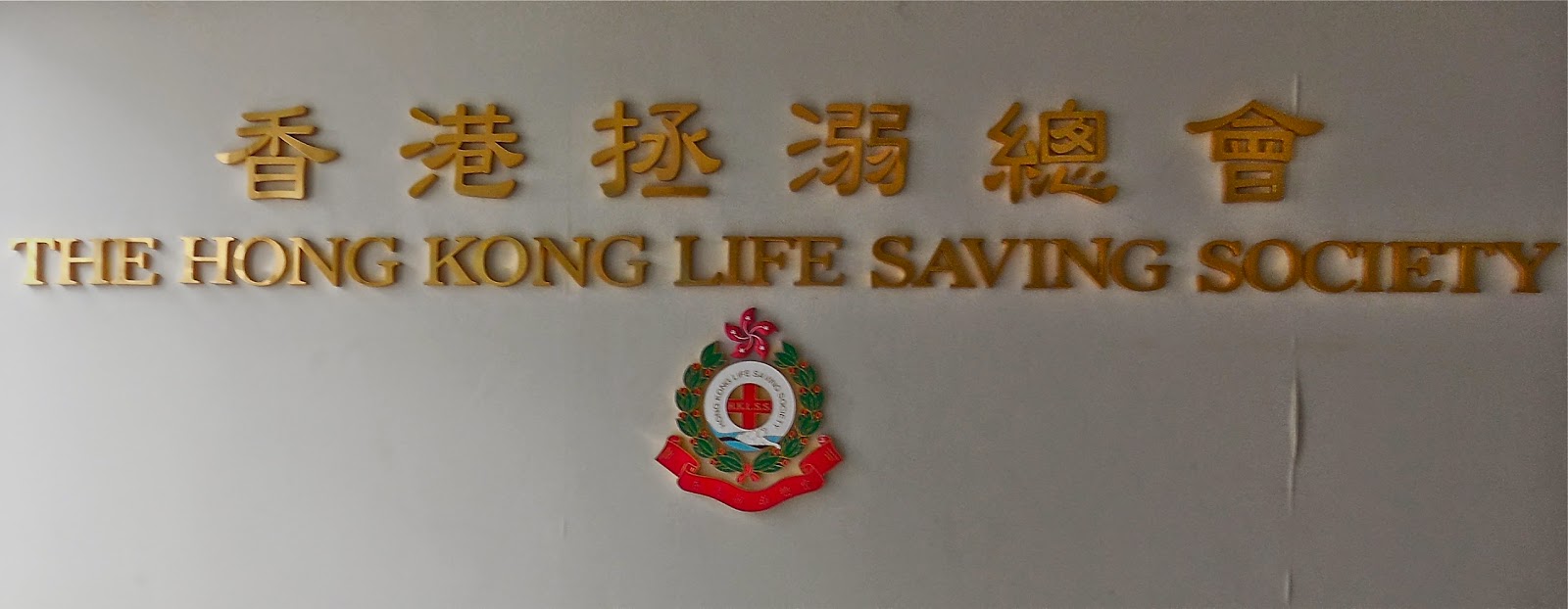 County Recurrent: HONG KONG LIFE SAVING SOCIETY: HKLSS Rocks!