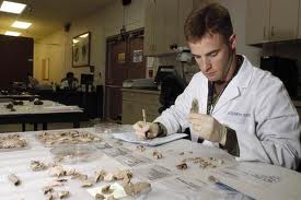 Odontologist and Forensics: Forensic Odontology