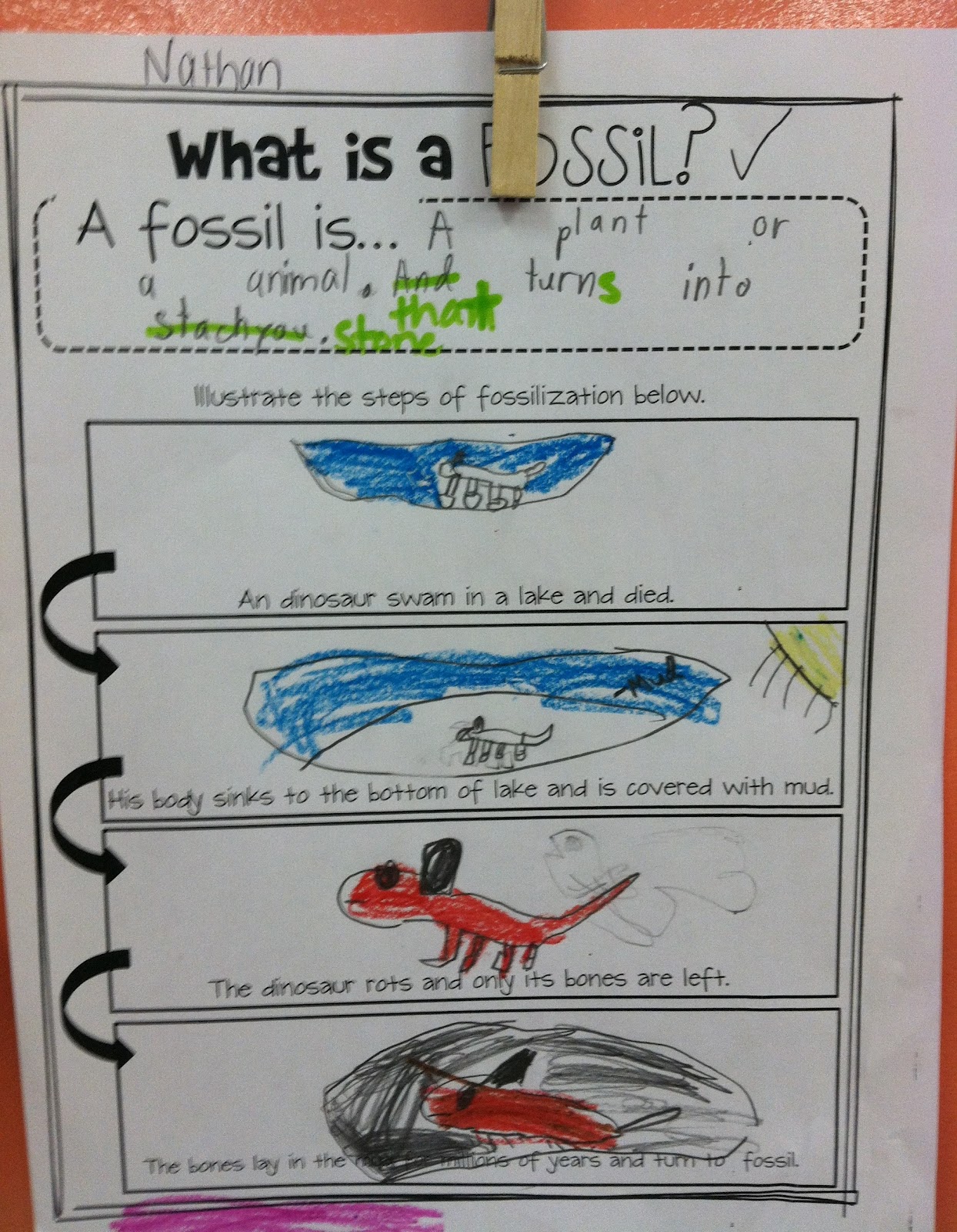 First Grade Fabulous Fish: Dinosaurs!!! FREEBIES!!