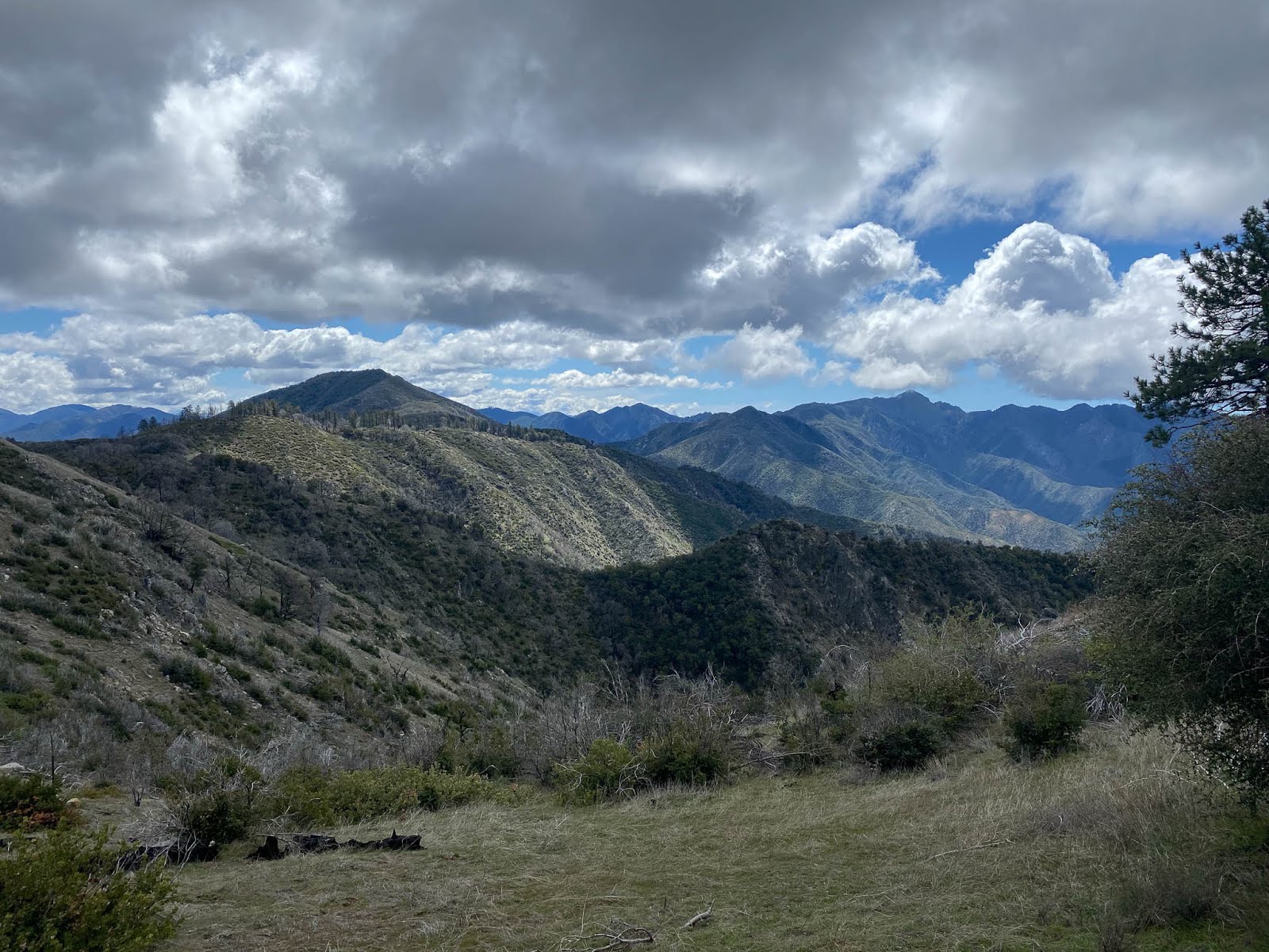 Section Hiking The Condor Trail: Bottchers Gap to Kirk Creek - First ...