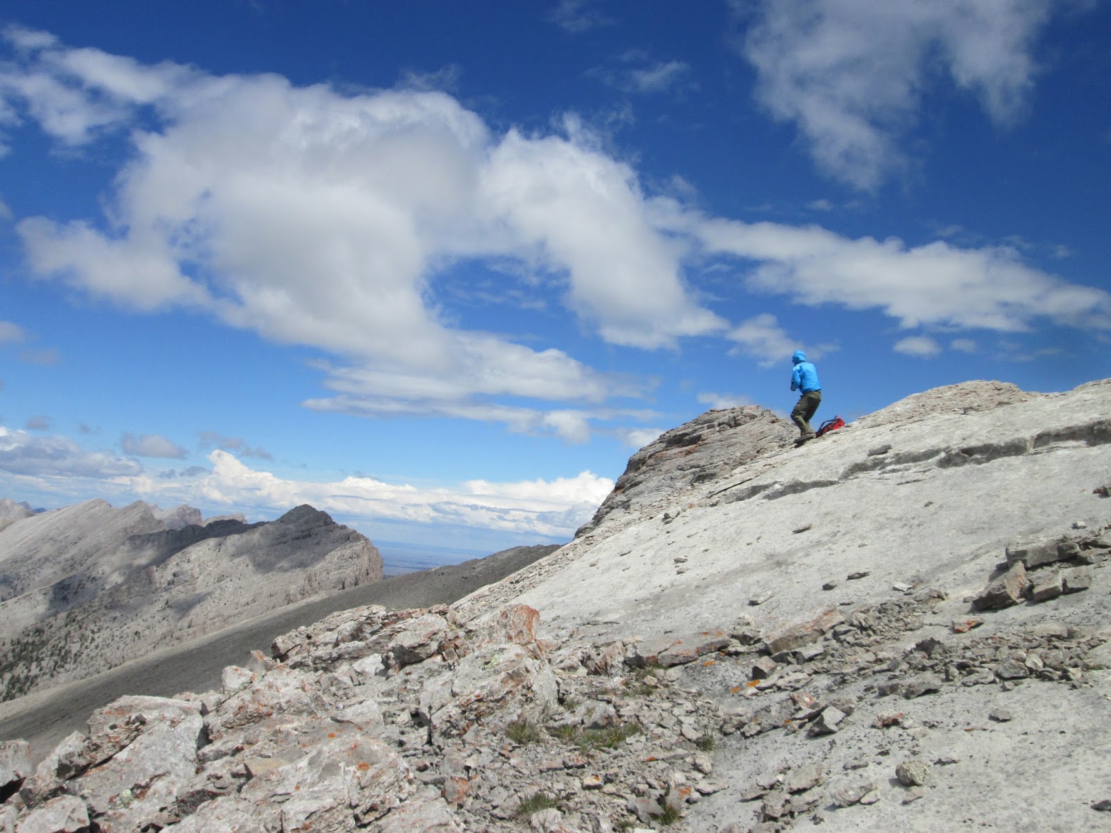 Out there with Tom: Busy season: Choteau Mountain, Glacier, Great Bear ...