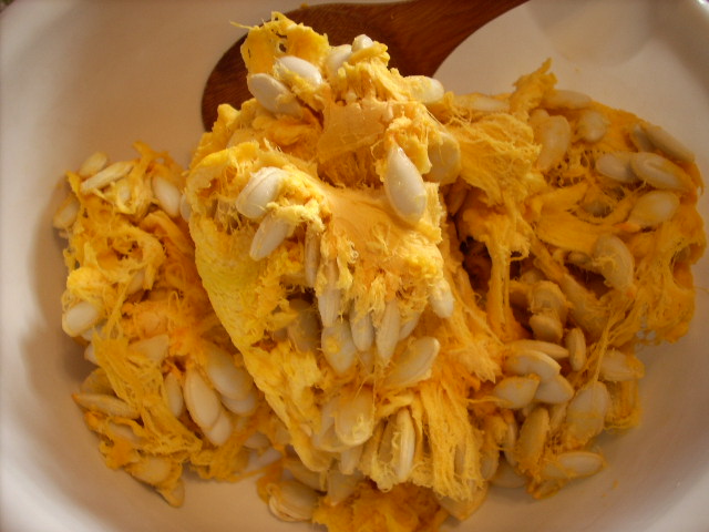 Traditional Farming for Sustainability: Seed saving with Lakota squash