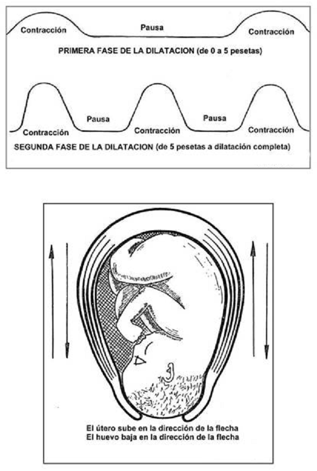 Una Mamá 24x7 y feliz!!: El parto sin dolor - Consuelo Ruiz