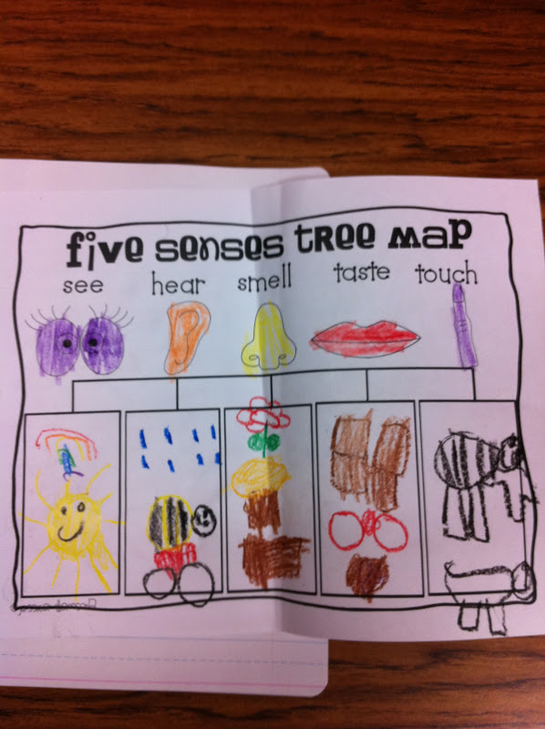 Welcome to Room 36!: My five senses