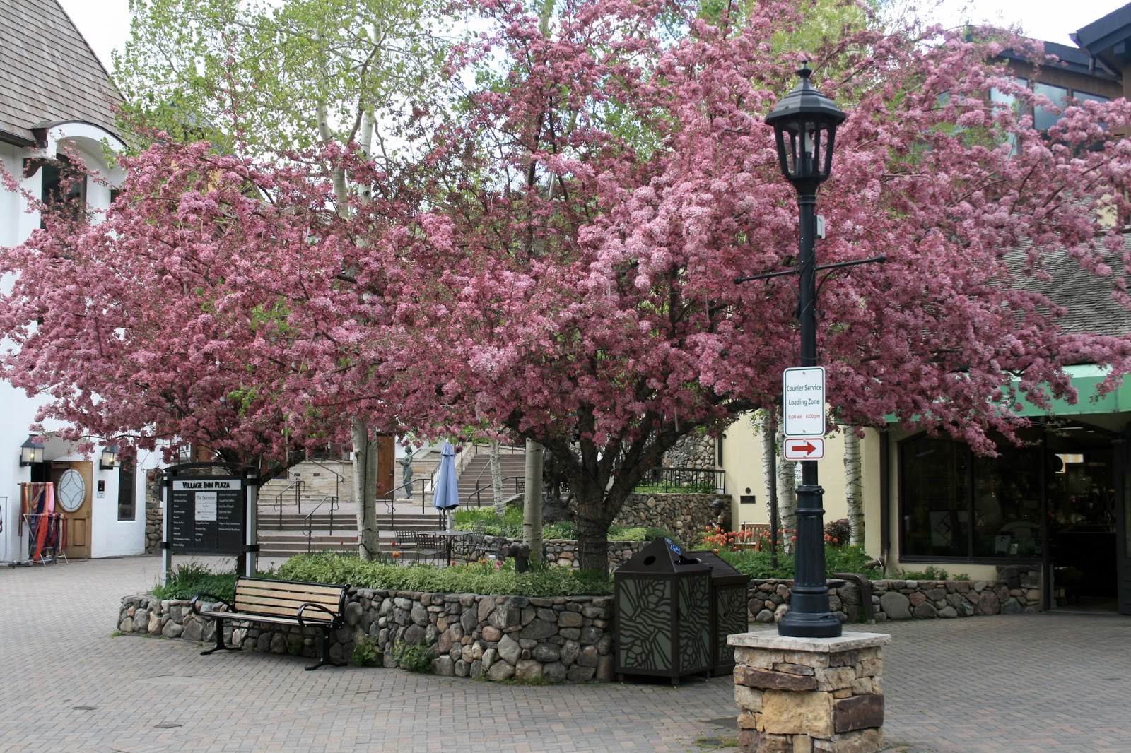 Amy's Creative Pursuits: The Beautiful Spring Blooms of Vail, Colorado