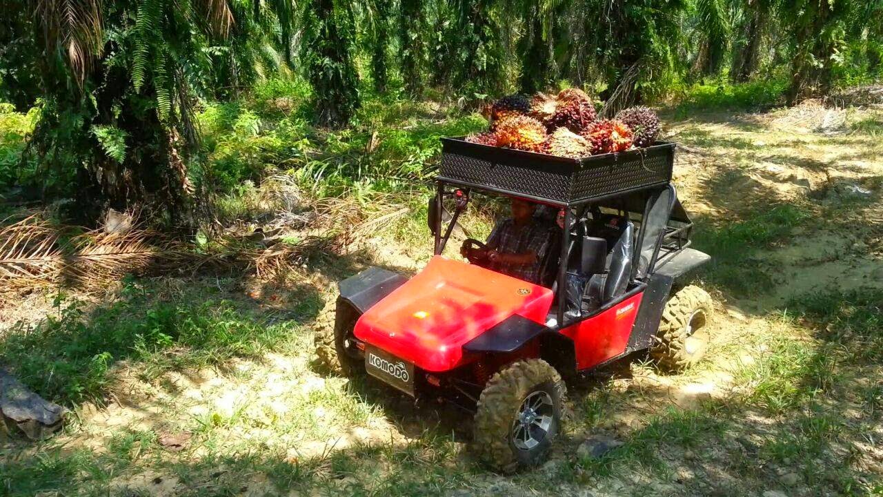 Fin Komodo mampu mengangkut 20 TBS Kelapa Sawit | Fin Komodo Offroad