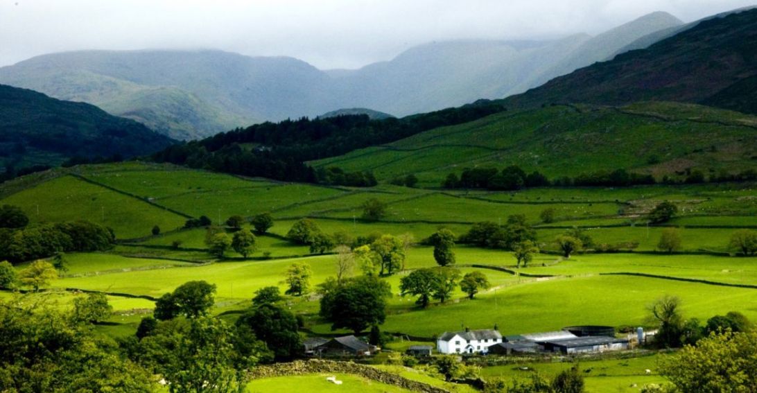 1.4.3. Lingkungan alami