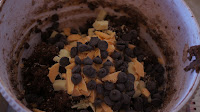 Food of the Soul: Oozie Chocolate chip Cookies