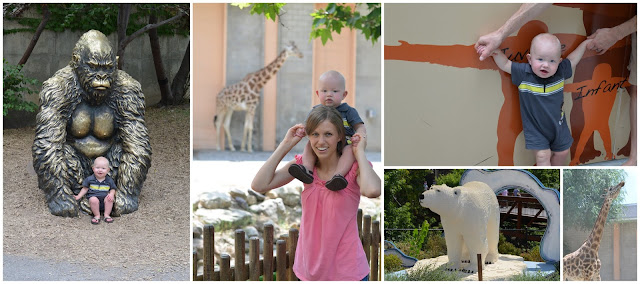 The Ririe Family: Hogle Zoo on Pioneer Day