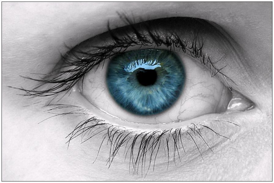 Tudo em Caixas - Caixas em MDF e Tecido (67)3211-7767: ESTAMOS DE OLHO