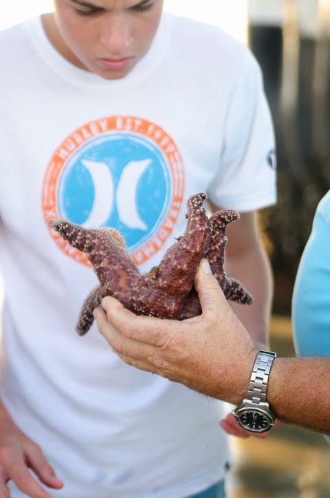 Jared | Candace | Emery