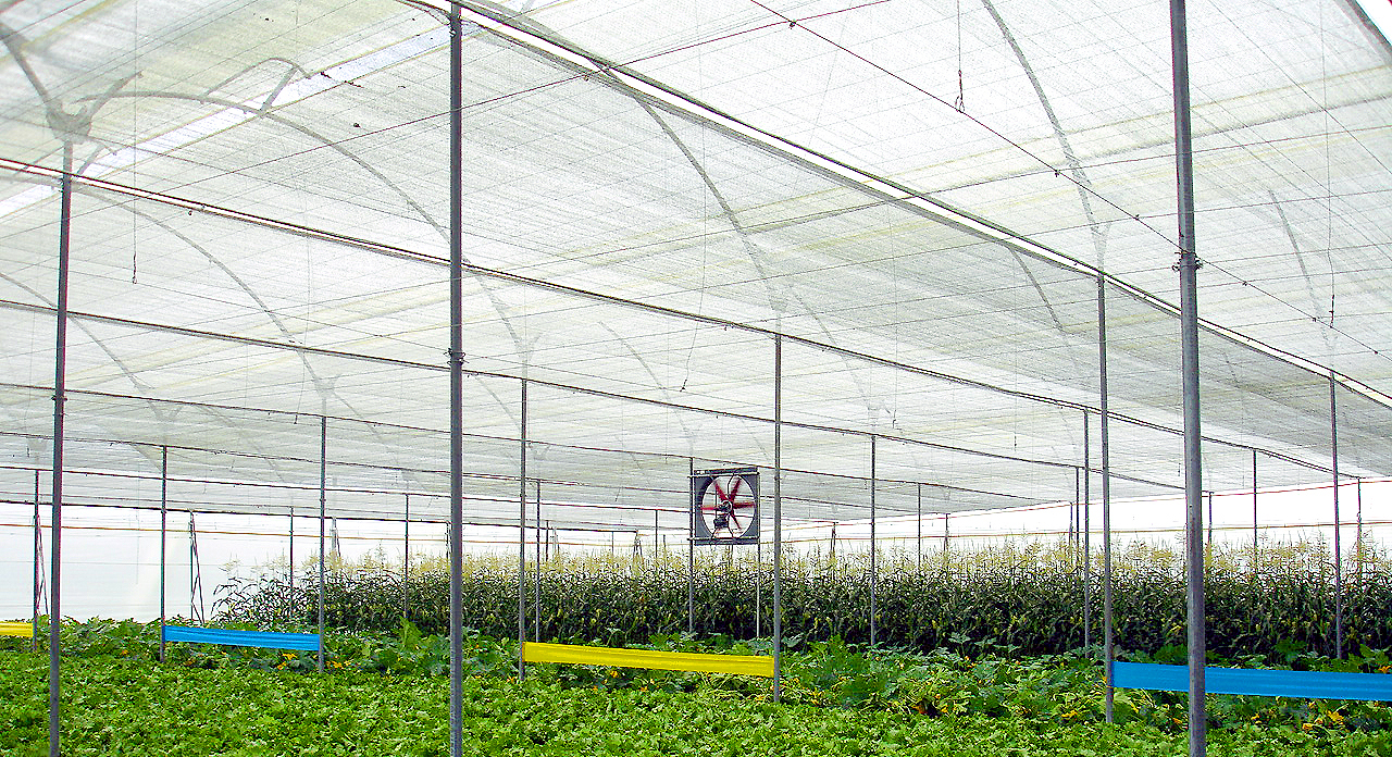 Plastilene Plasticos Comercio: AGROLENE