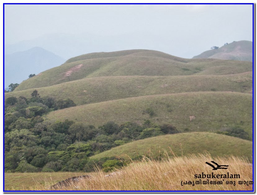 പ്രകൃതിയിലേക്ക് ഒരു യാത്ര (a travel towards NATURE): PULLUMEDU a unique ...