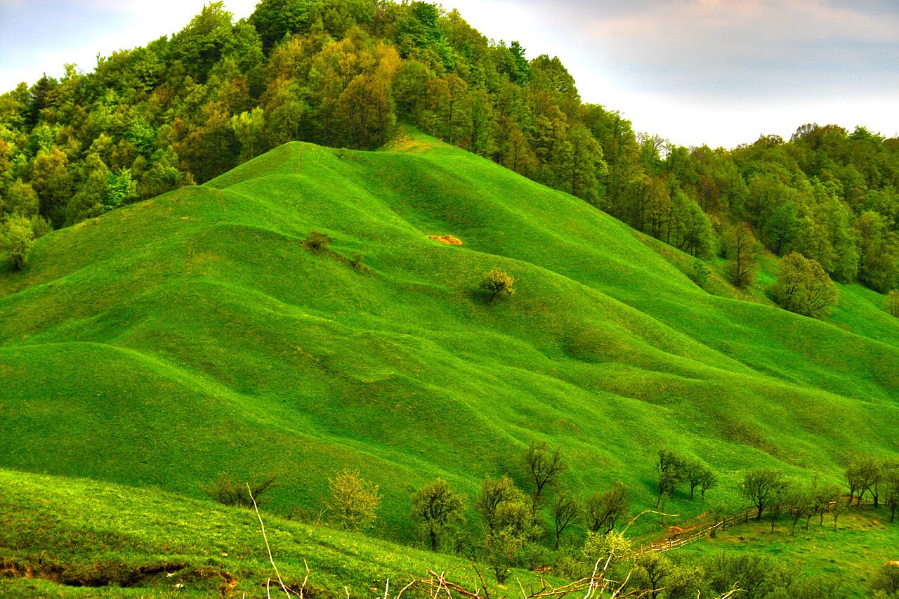 Calator in Paradis - Bisoca, Buzau