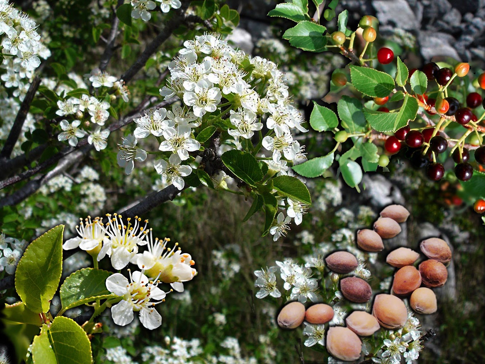 Intelliblog: 04/09/2016 - 11/09/2016